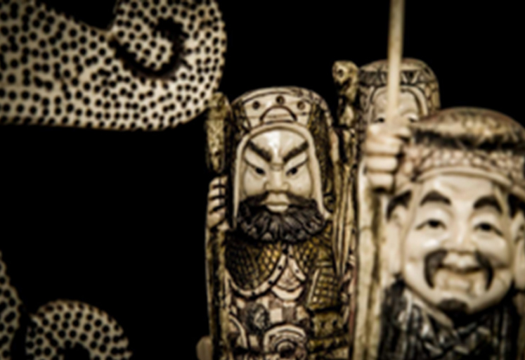 Financiación – Cichoco